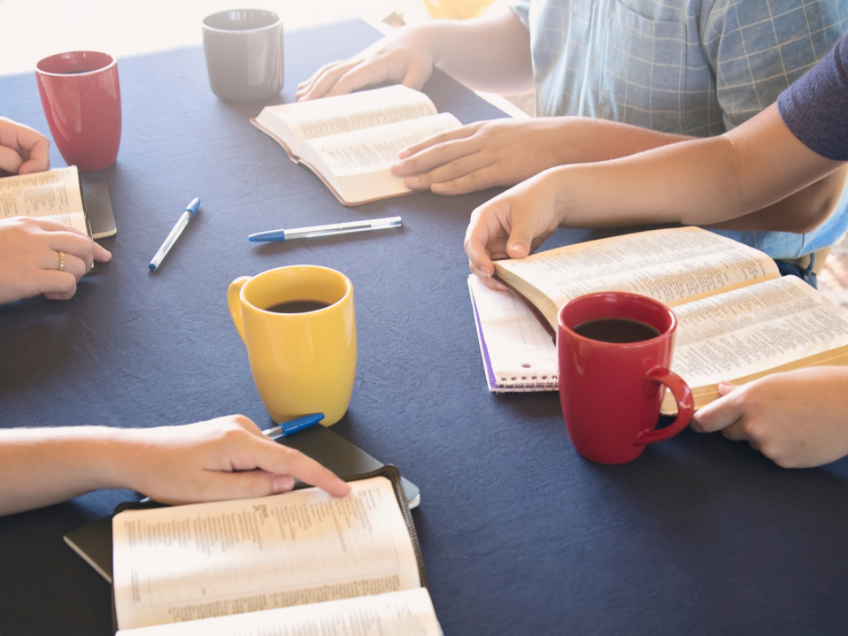Diocesan Bible Study – Diocese of Pembroke